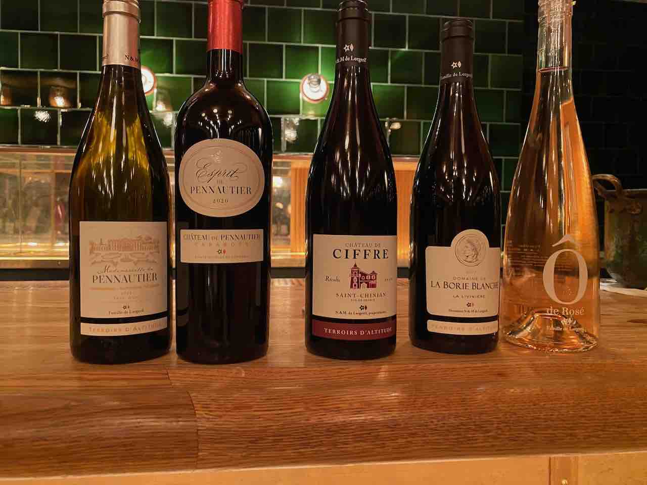 Discover Unique French Wines You’ll Love